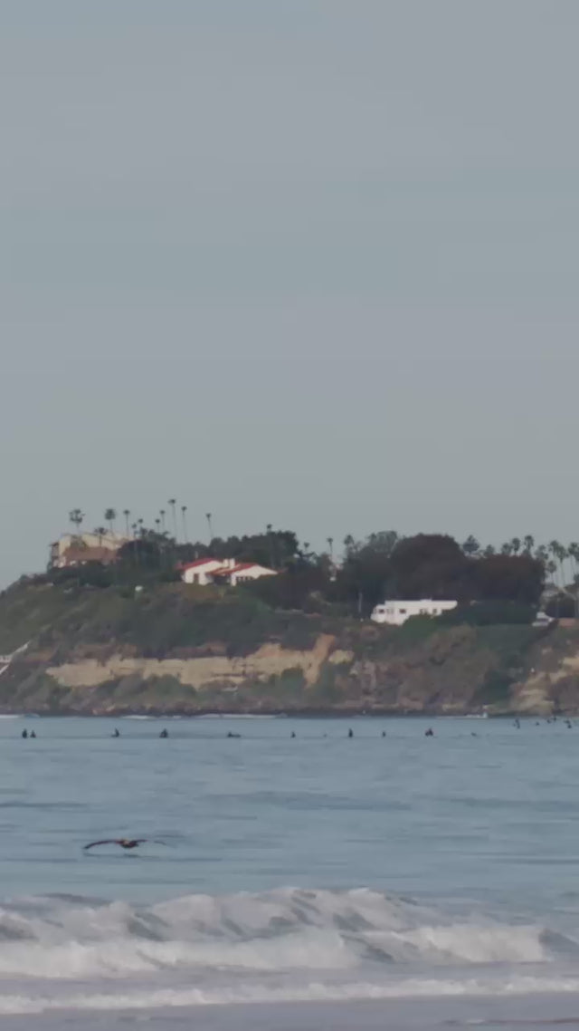 CHEAT CODE (E3 LITE) – Sharp Eye Surfboards